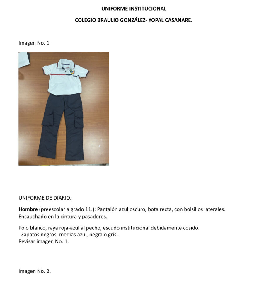 Nosotros - IE Braulio González